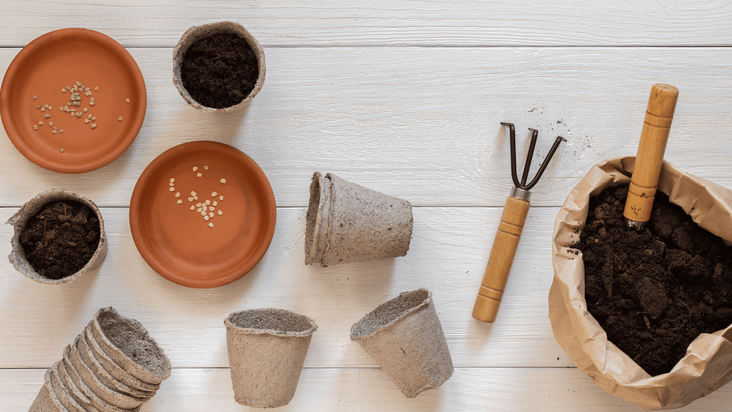 How do you make an eco garden? – Bower Collective