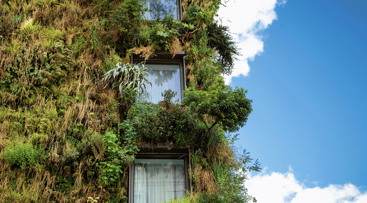 5 lessons from the most sustainable countries – Bower Collective