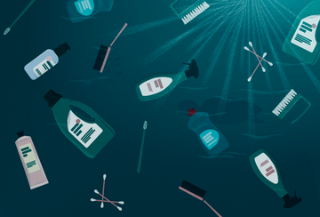 Bower Collective | Sustainable living made simple.